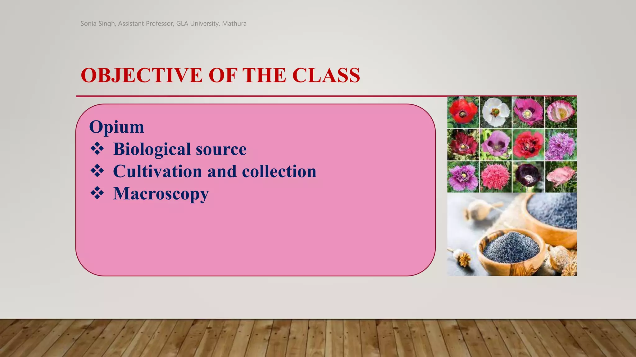 Opium: Biological source, Cultivation and collection, Morphology | PPTX