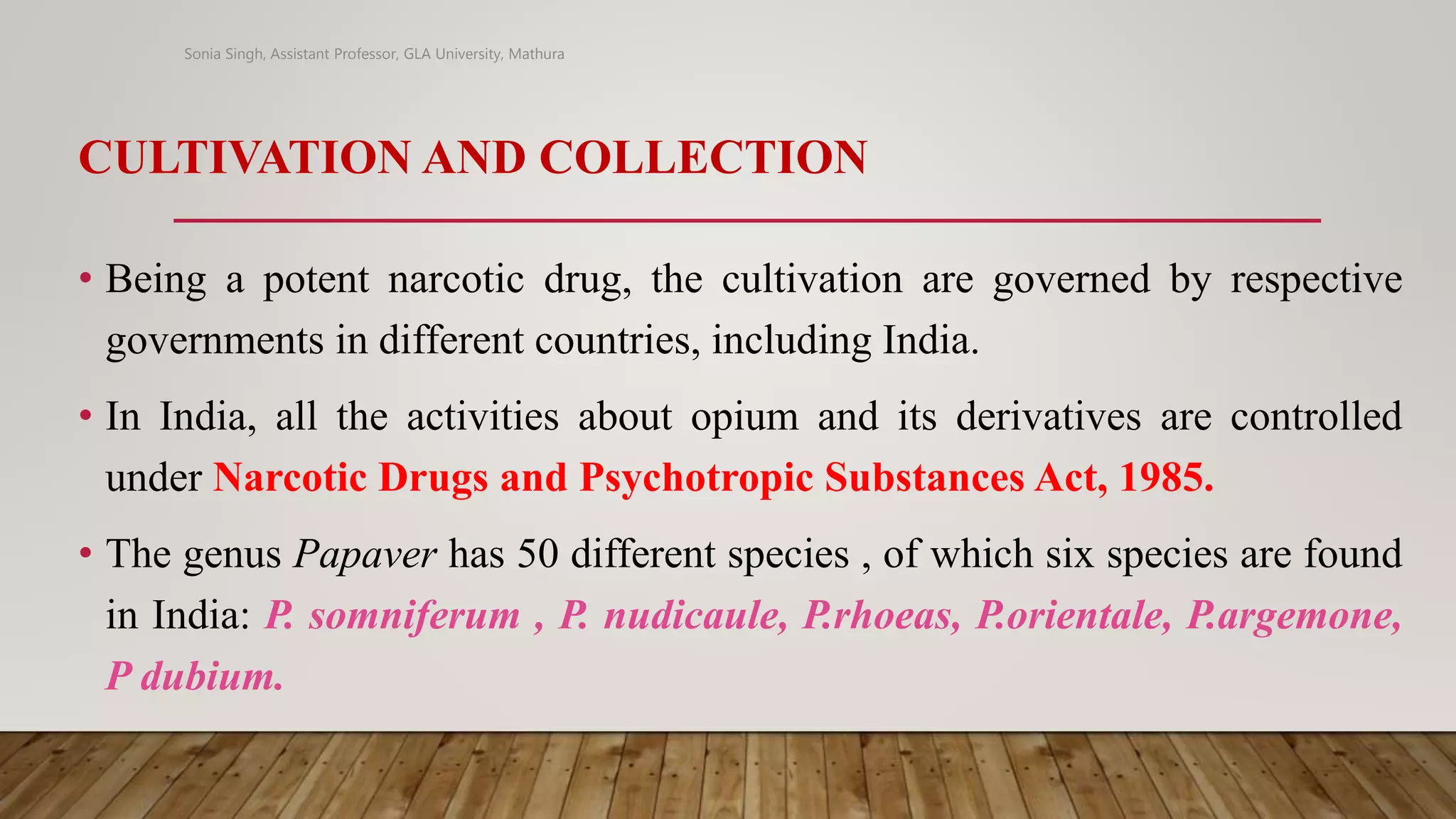 Opium: Biological source, Cultivation and collection, Morphology | PPTX