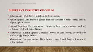 Opium: Biological source, Cultivation and collection, Morphology | PPTX