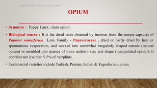 Opium: Biological source, Cultivation and collection, Morphology | PPTX ...