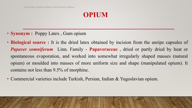 Opium: Biological source, Cultivation and collection, Morphology | PPTX ...