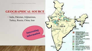 Opium: Biological source, Cultivation and collection, Morphology | PPTX