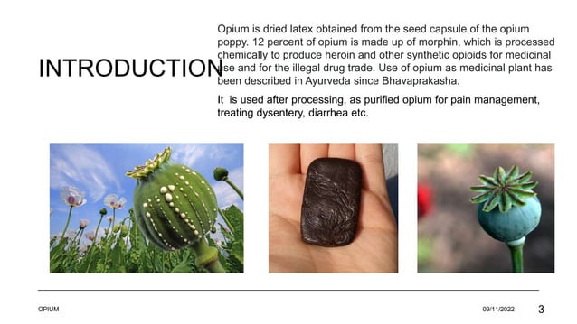 Opium-अहिफेन.pptx