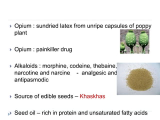 opium- Botany, propagation, harvesting and uses pptx | PPTX