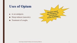 Opium: chemical constituents, therapeutic uses and commercial products ...