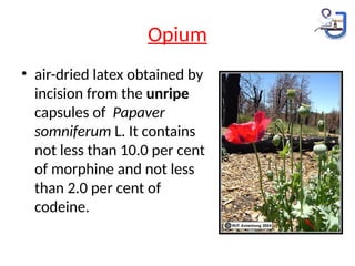 OPIUM latex collection, constituents and uses | PPTX