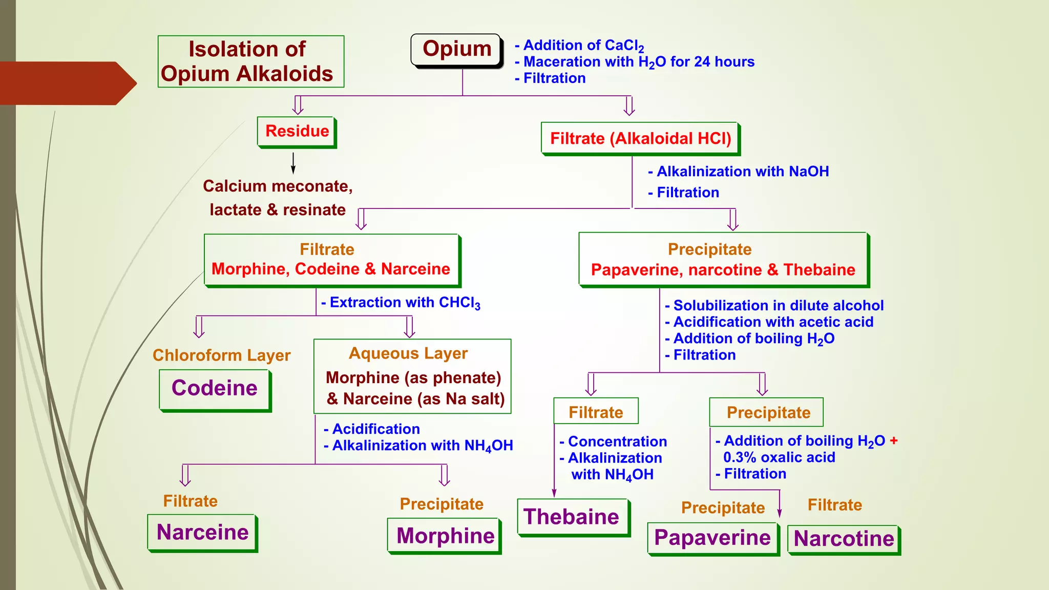 Opium alkaloids and derivatives | PPTX