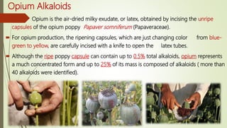 Opium alkaloids and derivatives | PPTX