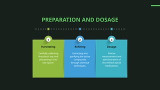 Opium poppy. pptx presentation about a plant | PPTX
