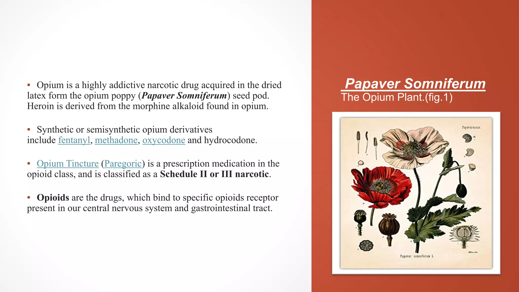 OPIUM POPPY DATA DOCUMENTS.ppt