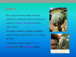 Pharmacognosy of Opium alkaloids ppt | PPT