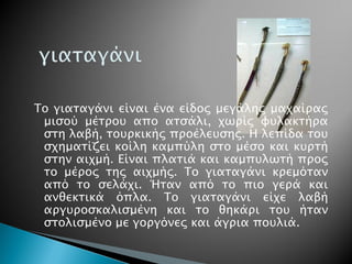 Όπλα της επανάστασης του 1821 | PPT