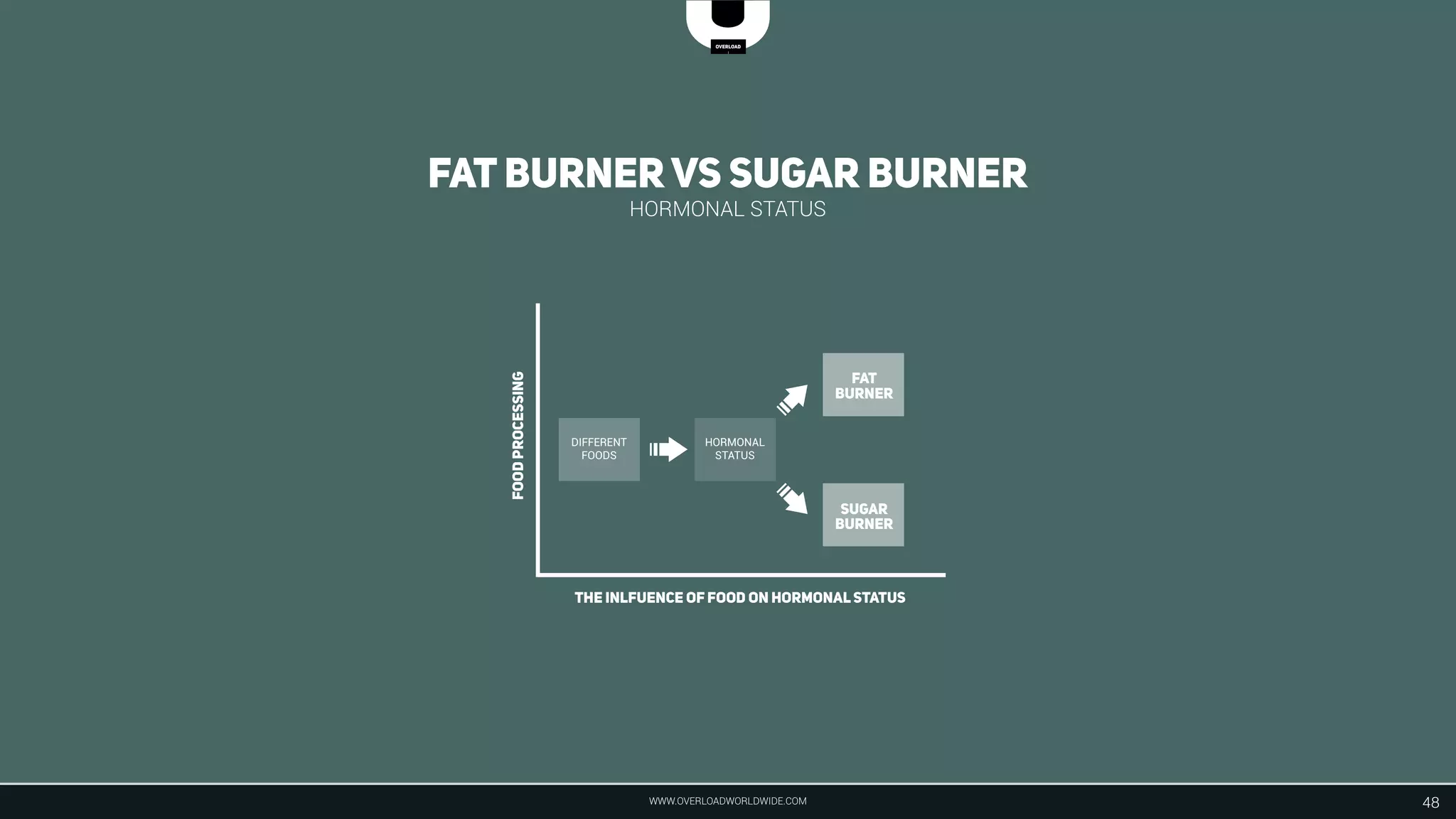 HIGH LEVEL PERSONAL TRAINER WORKSHOP #3 | PPT