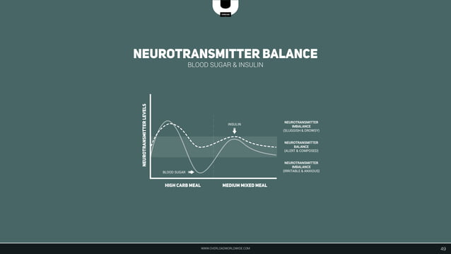 HIGH LEVEL PERSONAL TRAINER WORKSHOP #3 | PPT