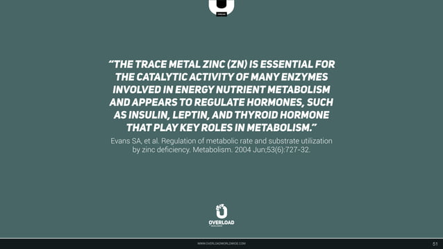 HIGH LEVEL PERSONAL TRAINER WORKSHOP #3 | PPT