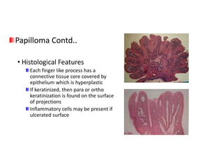 OPM-Benign_Tumors_Epitlelial_Origin-16-12-14.ppt