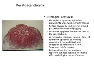 OPM-Benign_Tumors_Epitlelial_Origin-16-12-14.ppt | Free Download