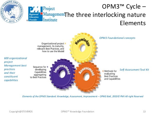 Opm3™ Knowledge Foundation