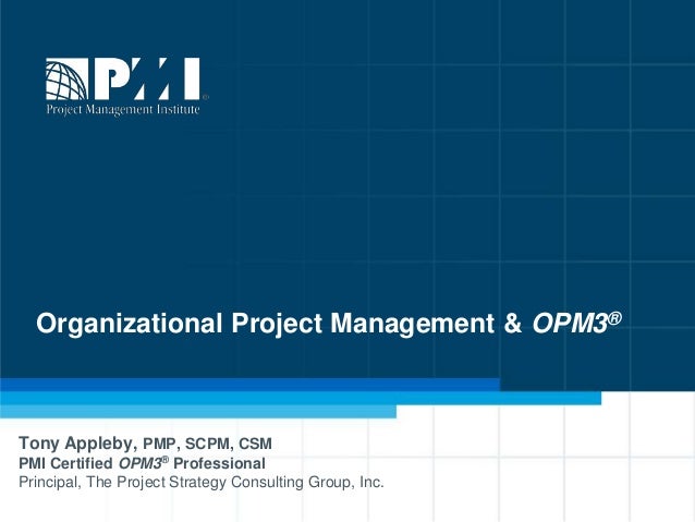 PMI's Organizational Project Management and OPM3