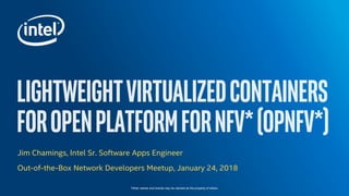 Lightweight Virtualized Containers For Open Platform for NFV* (OPNFV*) | PPT