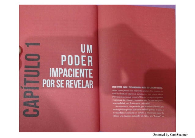 O PODER DO CARISMA.pdf