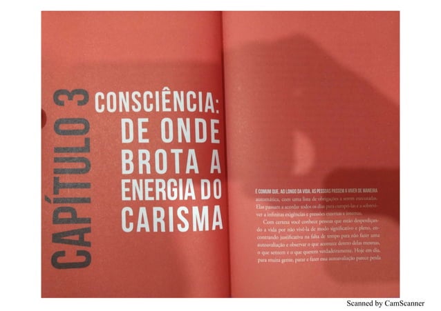 O PODER DO CARISMA.pdf