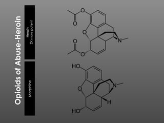 Opoid analgesics | PPT | Illegal Drugs, Tobacco, eCigarettes, Vaping ...