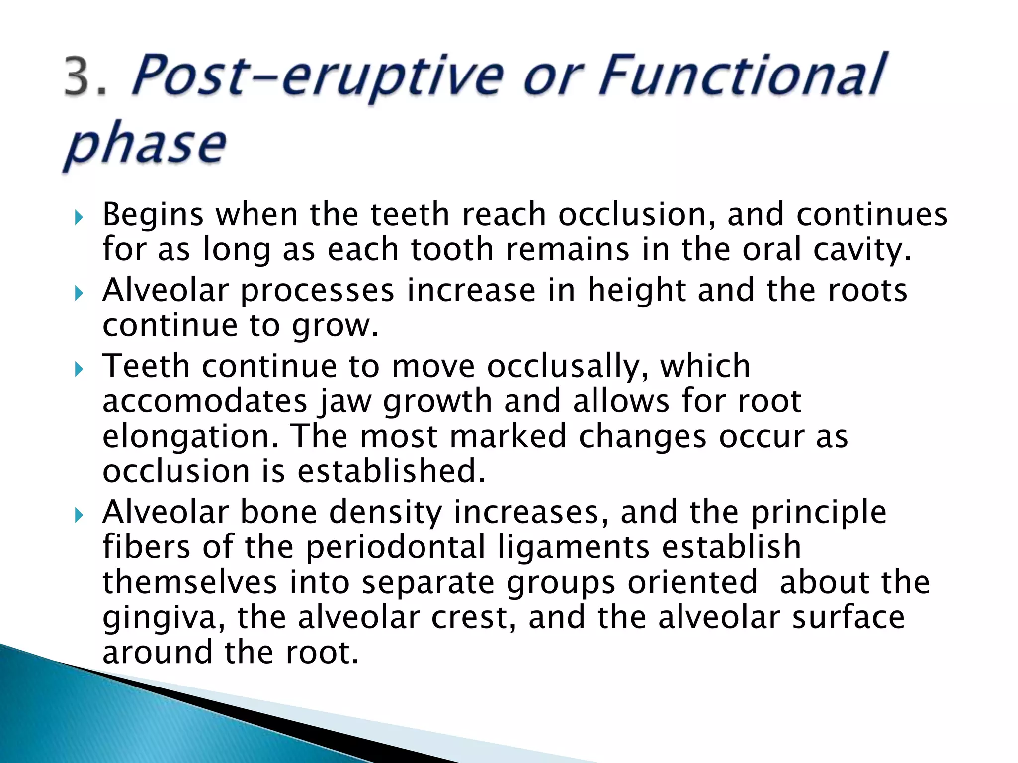 Mechanisms of Tooth Eruption & Mammalian Teeth 3 Categories on the ...