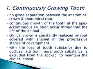 Mechanisms of Tooth Eruption & Mammalian Teeth 3 Categories on the ...