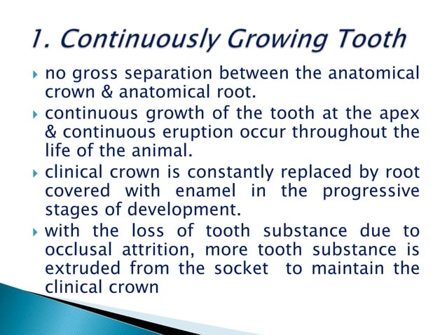Mechanisms of Tooth Eruption & Mammalian Teeth 3 Categories on the ...