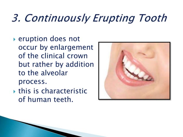 Mechanisms of Tooth Eruption & Mammalian Teeth 3 Categories on the ...