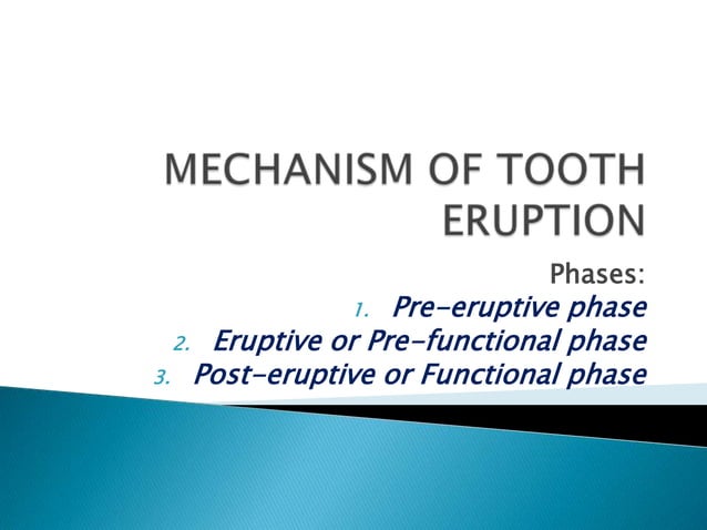 Mechanisms of Tooth Eruption & Mammalian Teeth 3 Categories on the ...