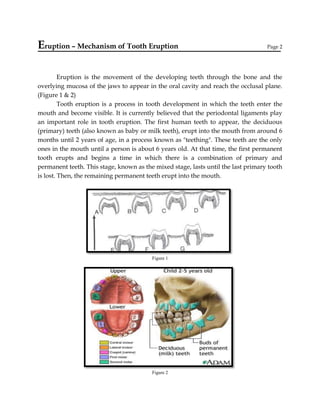 Mechanisms of Tooth Eruption & Mammalian Teeth 3 Categories on the ...
