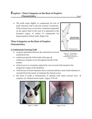 Mechanisms of Tooth Eruption & Mammalian Teeth 3 Categories on the ...