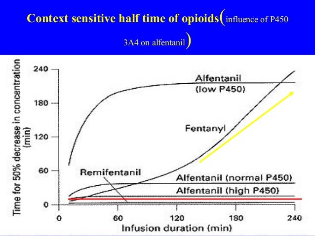 Oppioidi roma course