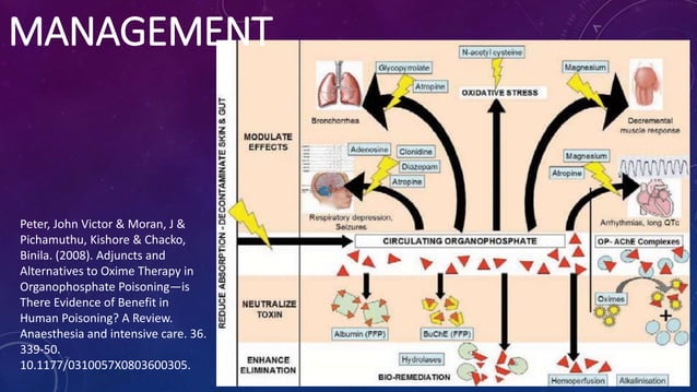 Organo Phosphate Poisoning.pptx