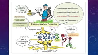 Organo Phosphate Poisoning.pptx