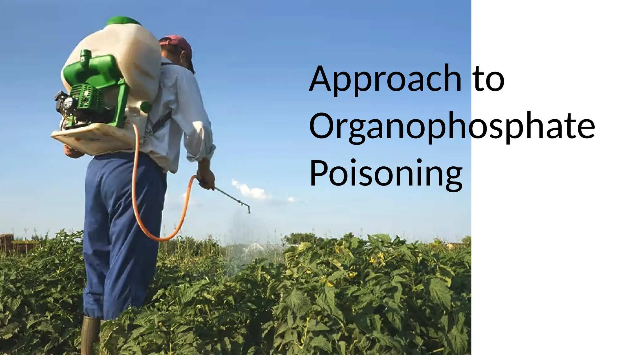 OP poisoning presentation in emergency setting | PPTX