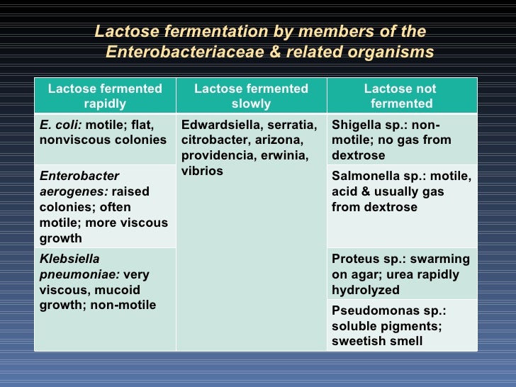 Opportunistic Enterobact