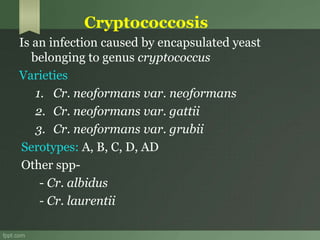 Opportunistic fungal infection | PPTX | Lung and Respiratory Health ...
