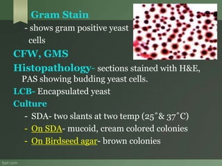 Opportunistic fungal infection | PPTX