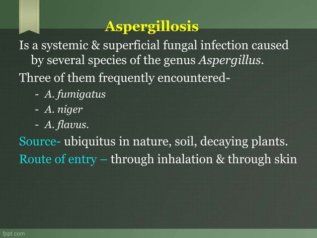 Opportunistic fungal infection | PPTX | Lung and Respiratory Health ...