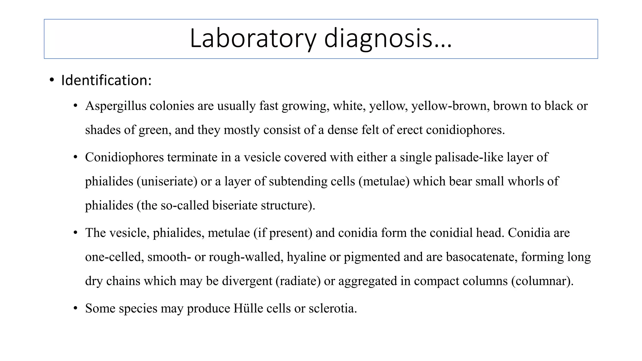 Opportunistic fungal infection.pptx