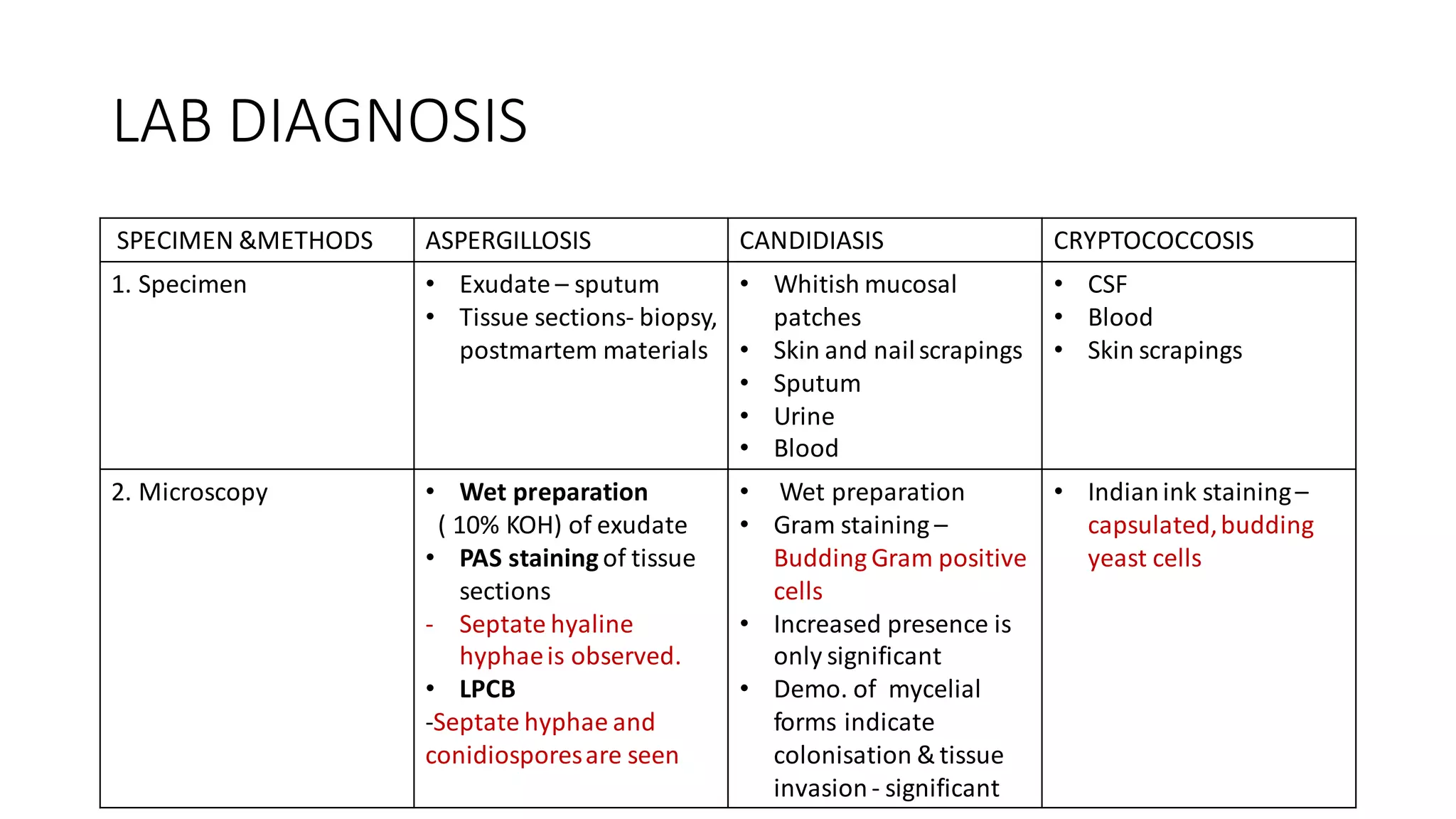Opportunistic fungal infections | PDF