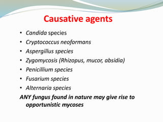 Opportunistic Fungi.pptx
