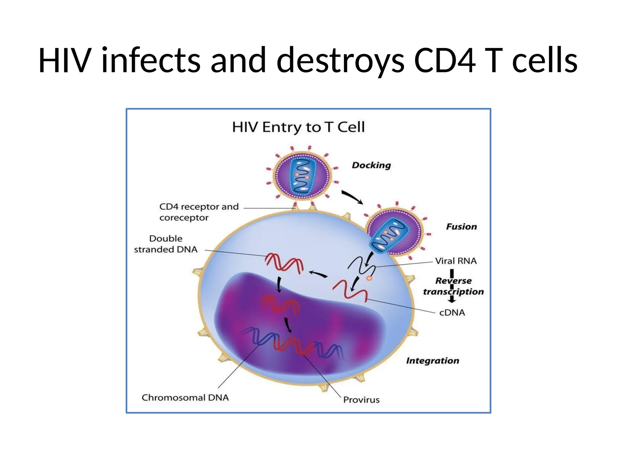 Common opportunistic infections in HIV.pptx