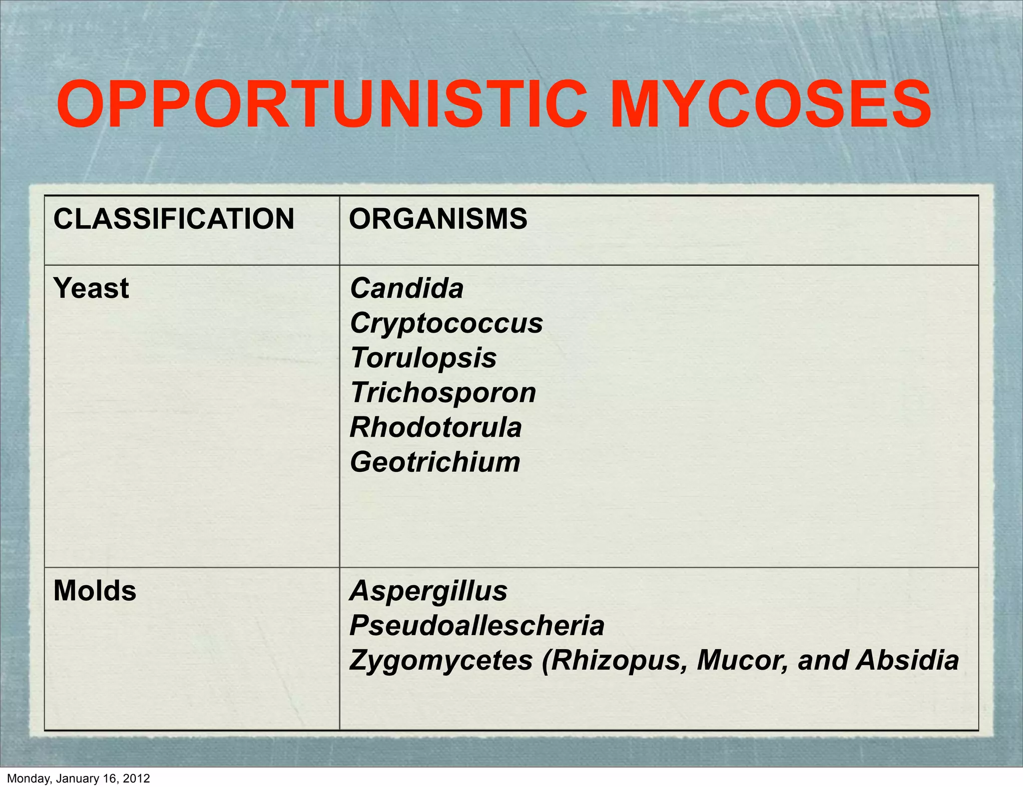Opportunisticmycoses | PPTX