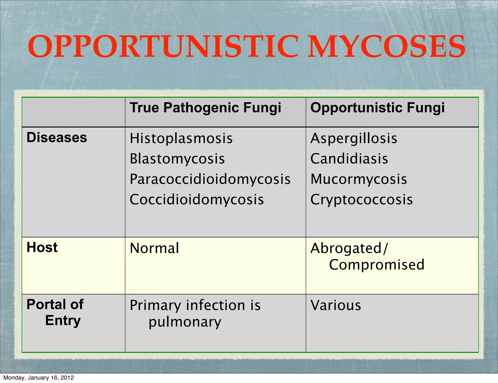 Opportunistic mycoses | PDF