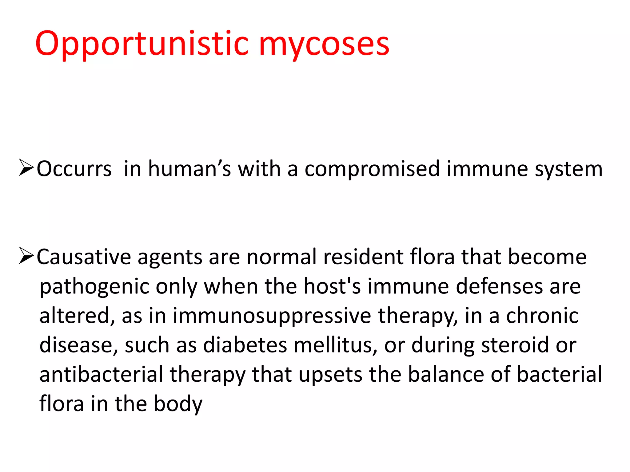 Opportunistic mycoses | PPTX