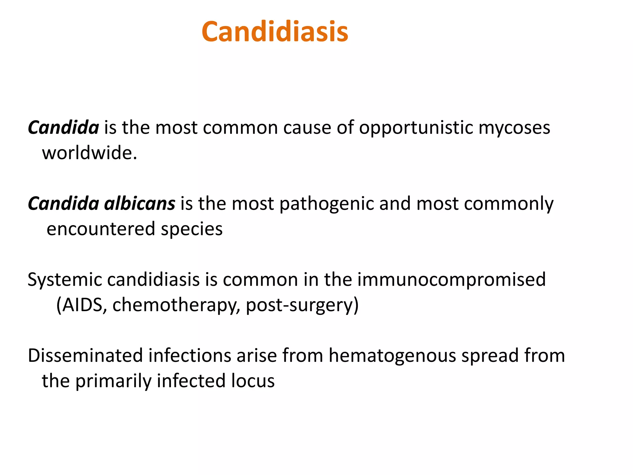 Opportunistic mycoses cadidiasis | PPTX